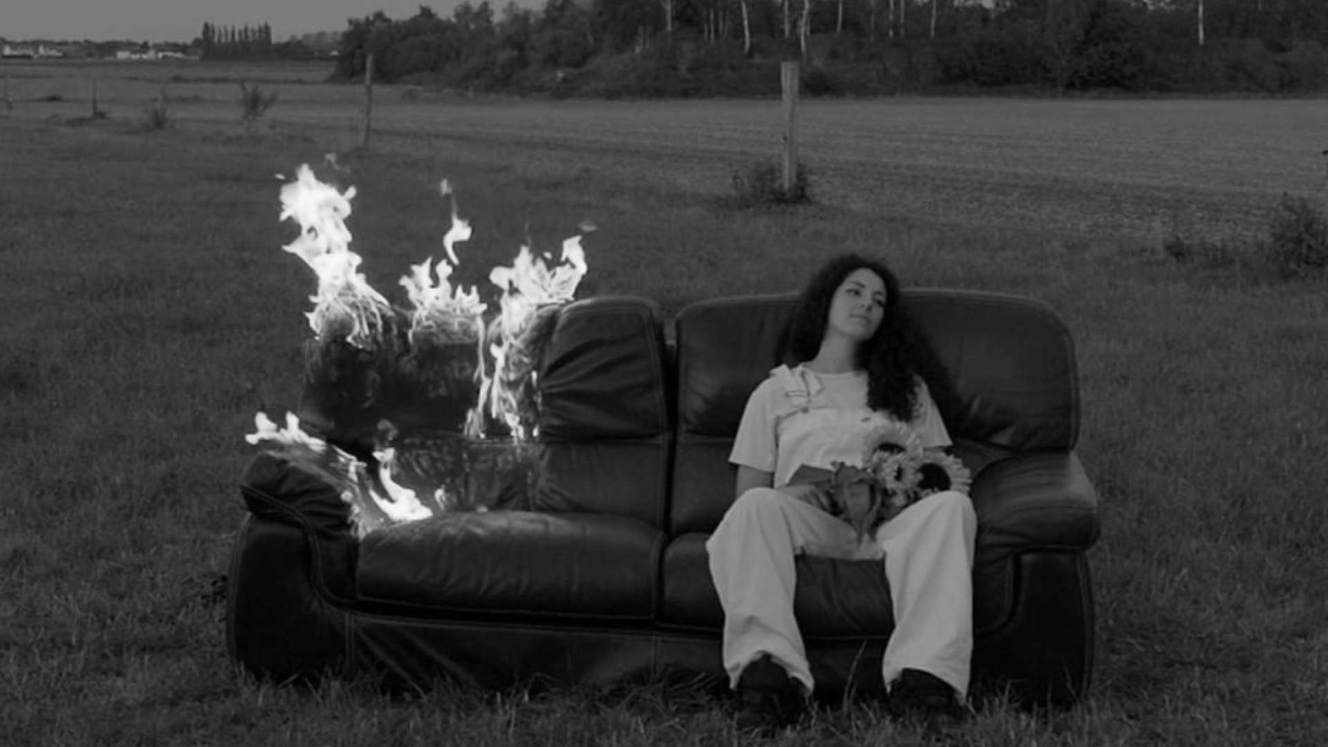 Lynx IRL | L'aéronef